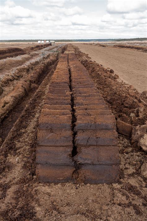 Two Uses Of Peat Bogs At Howard Franklin Blog