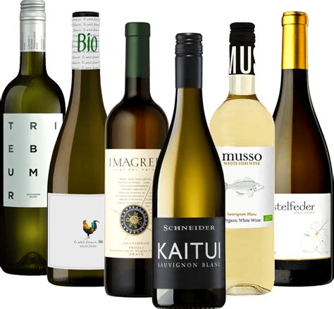 Vásároljon Mit Sauvignon Blanc durch Europa - 6x Probierpaket online