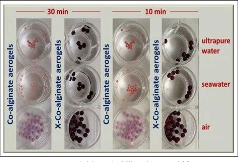 Figure 3 From A Review On Alginate Nanoparticle As A Potential Tool For Managing Water Pollution