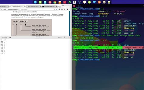 【linux思维】更改权限 Permission 以及 用户切换 哔哩哔哩 Bilibili