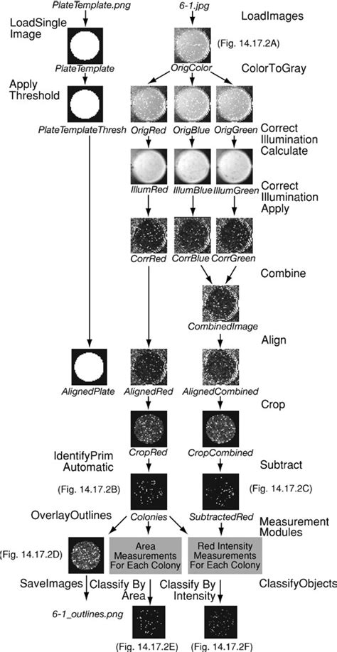 171 An Overview Of The Cellprofiler Example Pipeline The Names Of