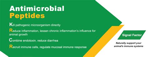 Antimicrobial Peptides Manufacturer Effective Antimicrobial Peptides Feed Additives Ecotide