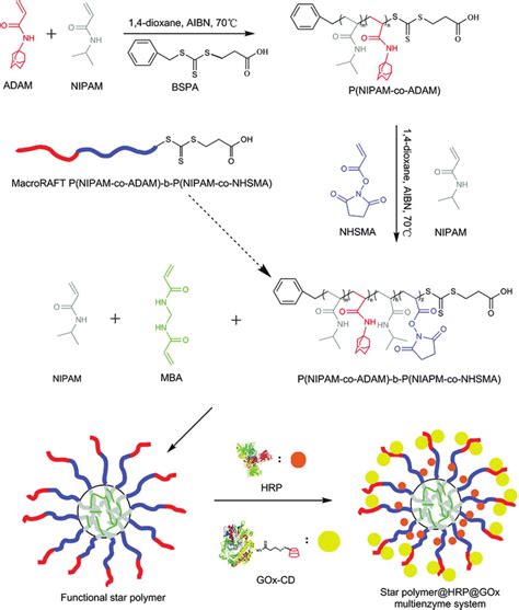 Synthetic Strategy For The Preparation Of Star Polymer Nanoparticles