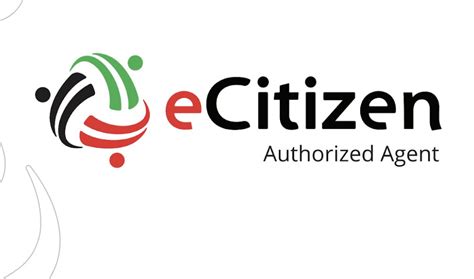 Government Announces New Charges For All Ecitizen Transactions Afrinewske