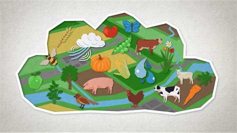 Jncc Spatial Prioritisation Cambridge Filmworks