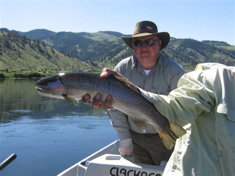 Trout Missouri River Montana River Outfitters