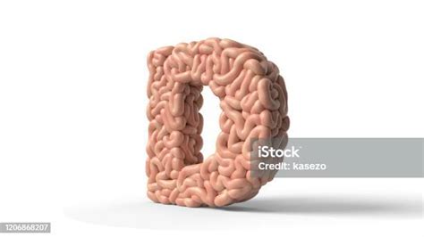 문자 D 3d 일러스트의 모양에 인간의 두뇌 3차원 형태에 대한 스톡 사진 및 기타 이미지 3차원 형태 개념 건강관리와