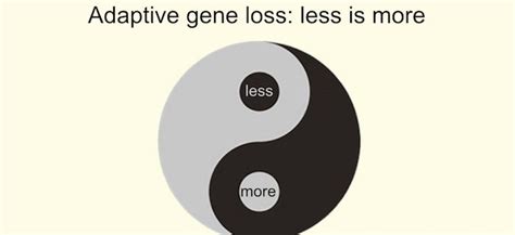 Adaptive Loss Of Function Mutations Plantae