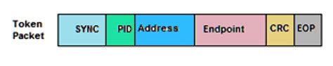 Solved The Diagram Below Shows The Structure Of A Usb Token Packet