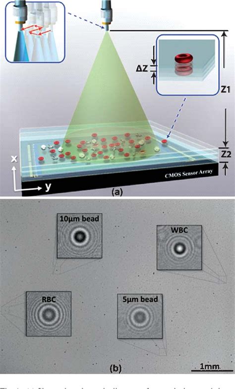 Figure 1 From Lensfree Computational Microscopy Tools For Cell And Tissue Imaging At The Point