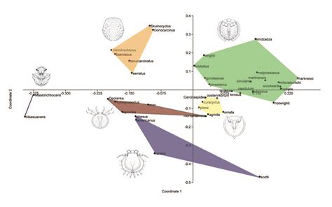 Pco Morphospace Analysis Past 325 Hammer Et Al 2001 Using Gower