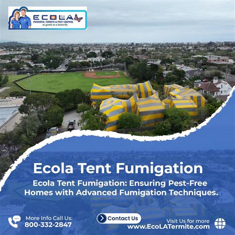 Ecola Termite And Pest Control Services Posted On Linkedin