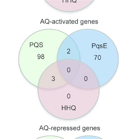 Schematic Representation Of The Pqs Qs System In P Aeruginosa The Download Scientific Diagram