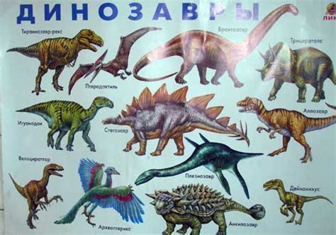 Картинки Для Пластилинографии - kvestiya
