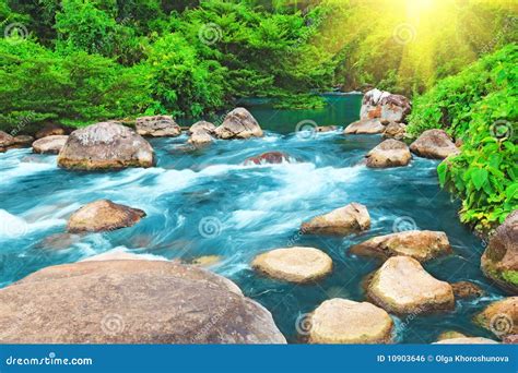 Stream Royalty Free Stock Image Image 10903646