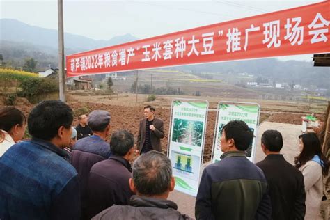 葫芦镇：“造血、补血、活血”助推村级集体经济破题发展 四川省建设快讯 建设招标网