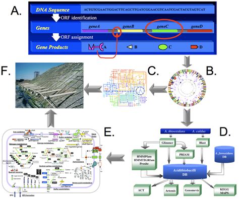 Workflow For Developing Databses For Biomining Applications A