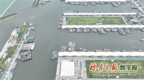 我市开启“防御临战”模式 启东新闻网