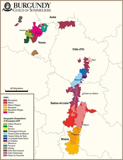 Burgundy Wine Map And Facts