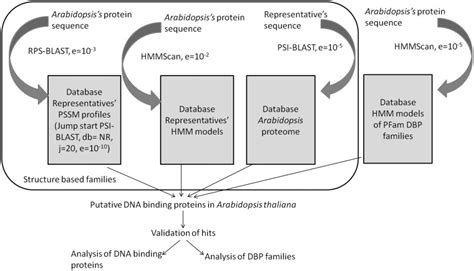 Overview Of The Search Protocol Three Sensitive Sequence Search Download Scientific Diagram