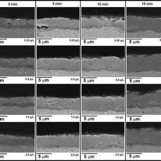 SEM Micrographs Of Polished Cross Sections Of Coatings Formed In Formed