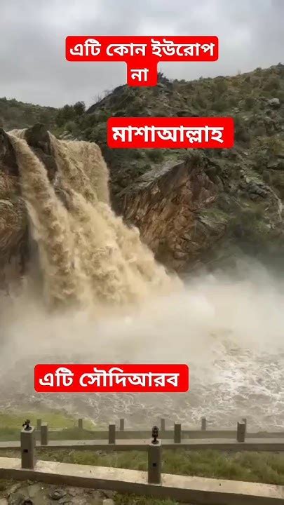 Saudi Arabia Rinfol 😱🇸🇦🇧🇩 Viral Shortsvideo Shorts Youtubeshorts Youtube