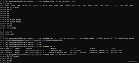 Docker的挂载和数据卷docker Mount Csdn博客