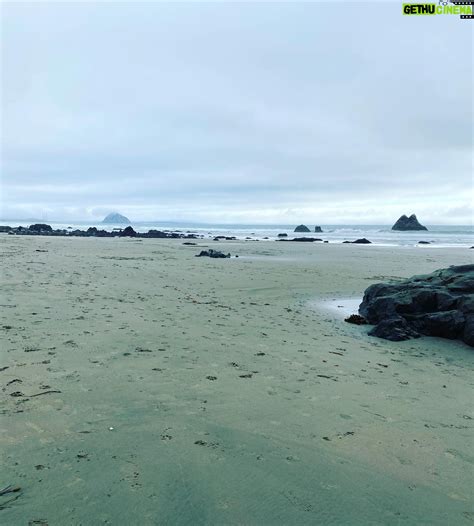 Bree Williamson Wiki Biography Age Gallery Spouse And More