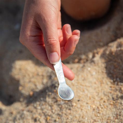 Shell Spoons Earth Tu Face