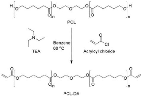 Figure 1 From Biodegradable Photocurable Pcl Peg Diacrylate For 3d Printing Semantic Scholar