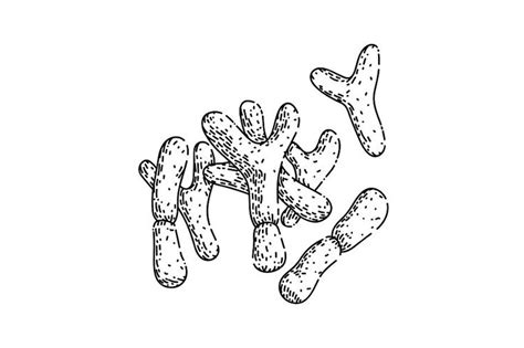 Bacteria Epidemic Sketch Hand Drawn