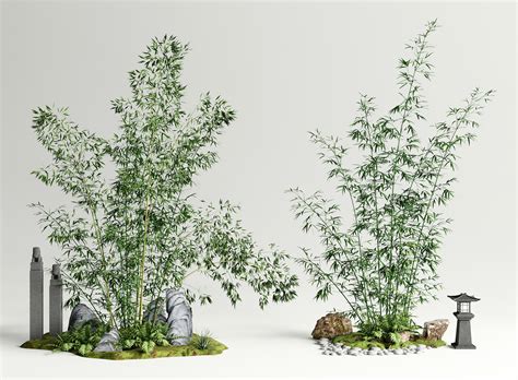 竹子 景观竹子 苔藓地形 石头 树池 室内设计 拓者设计吧