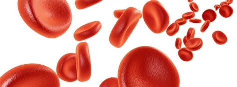 Platelet Count Green Healthy Village