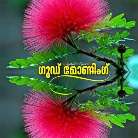 Nihas Nihas Nihas2524 • Threads Say More