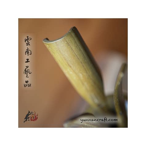 Cha Ju Set Wood Lithocarpus Tool Set For Gong Fu Tea Ceremony