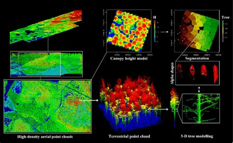 Examples Of Terrestrial And Airborne Point Clouds Available For Forest Download Scientific