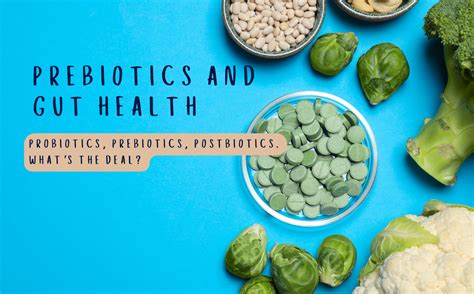 The Science Of Prebiotics Gut Health Inspired Food And Drink