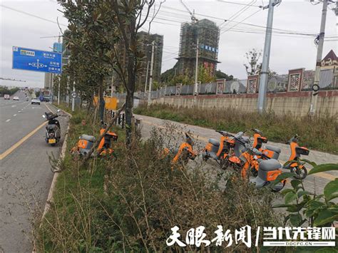 【天眼问政·追踪】 “躺”在绿化带上的共享单车已被清理干净先生进行市民