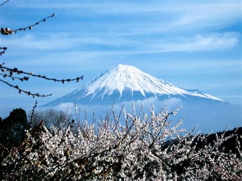 ありがとうアマチュアカメラマン投稿ギャラリー富士山chafuka