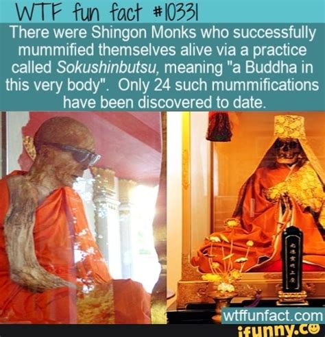 Fun Fact 10331 There Were Shingon Monks Who Successfully Mummified