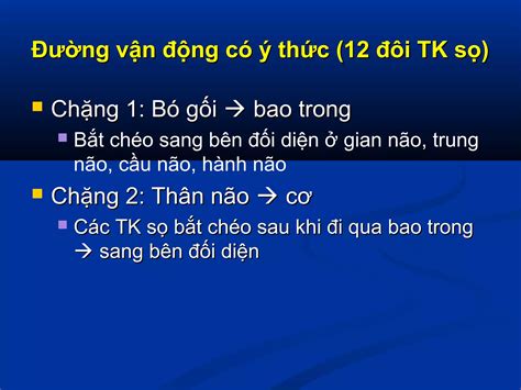 Gi I Ph U D N Truy N Th N Kinh Ppt