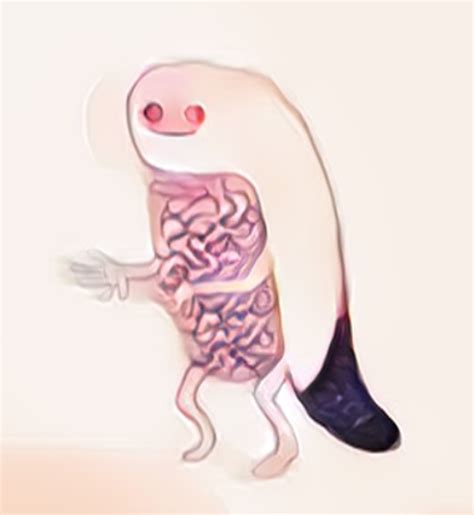 鍋はモランボンで決まり！おすすめランキングはこちら！ 満部屋。テニスジャンルを扱うブログ