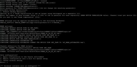 Veeam Plug In For Oracle RMAN Manual Mode VInfrastructure Blog