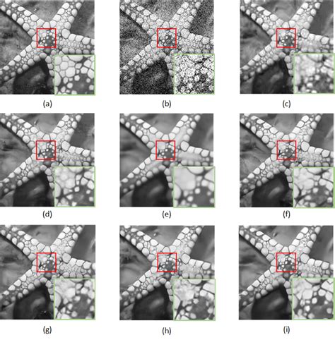 denoising results of different methods on one image from set12 with