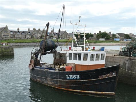 Coastal East Lothian LH53 Tern At Port Richard West Geograph