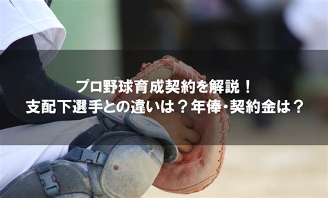 【プロ野球育成契約】支配下契約選手との違い・年俸・契約金について解説 野球観戦の教科書
