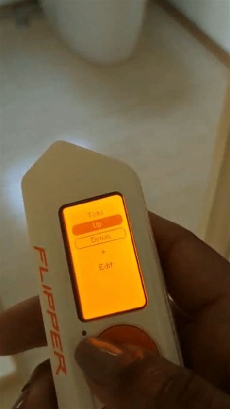 Restricting Flipper Is A Zero Accountability Approach To Security Canadian Government Response