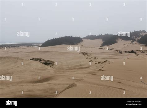 Oregon Dunes National Recreation Area Reedsport Oregon Coast Usa