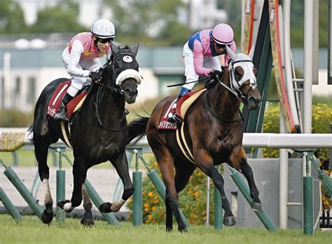 アンカツさん、神戸新聞杯の結果に「新興勢力の台頭はないってこと」“逃走v”メイショウタバルには「あの先行力は個性やね」
